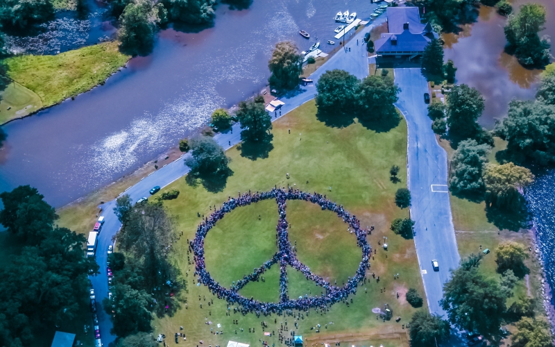 Online Gaming and Peace Building: Cultivating Cooperation and ...